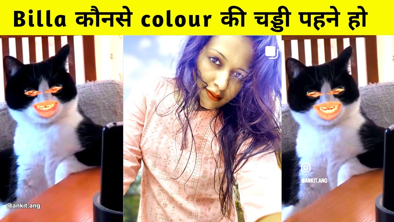 billa कौनसी colour की चड्डी पहने हो Billa roast bagad billa new video ...