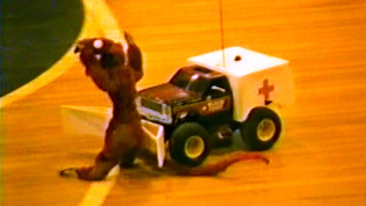 1990s - Gen X - High School RoadKill Olympics Project - YouTube