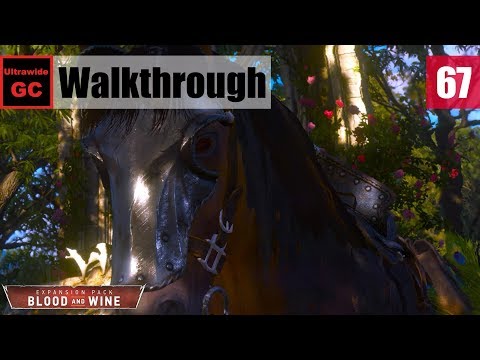 The Witcher 3: Blood and Wine [#67] - Equine Phantoms || Walkthrough