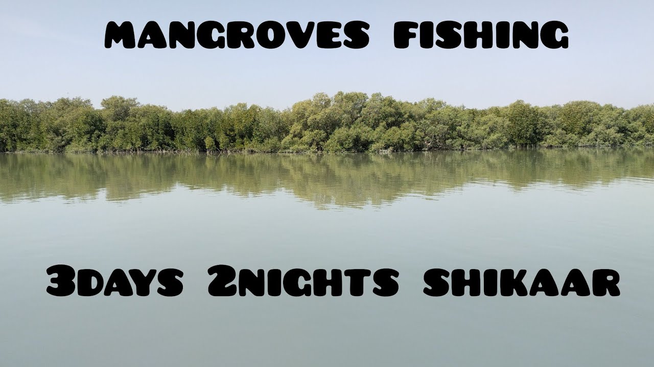complete fishing 3 days trip march2023|mangroves fishing | karachi ...