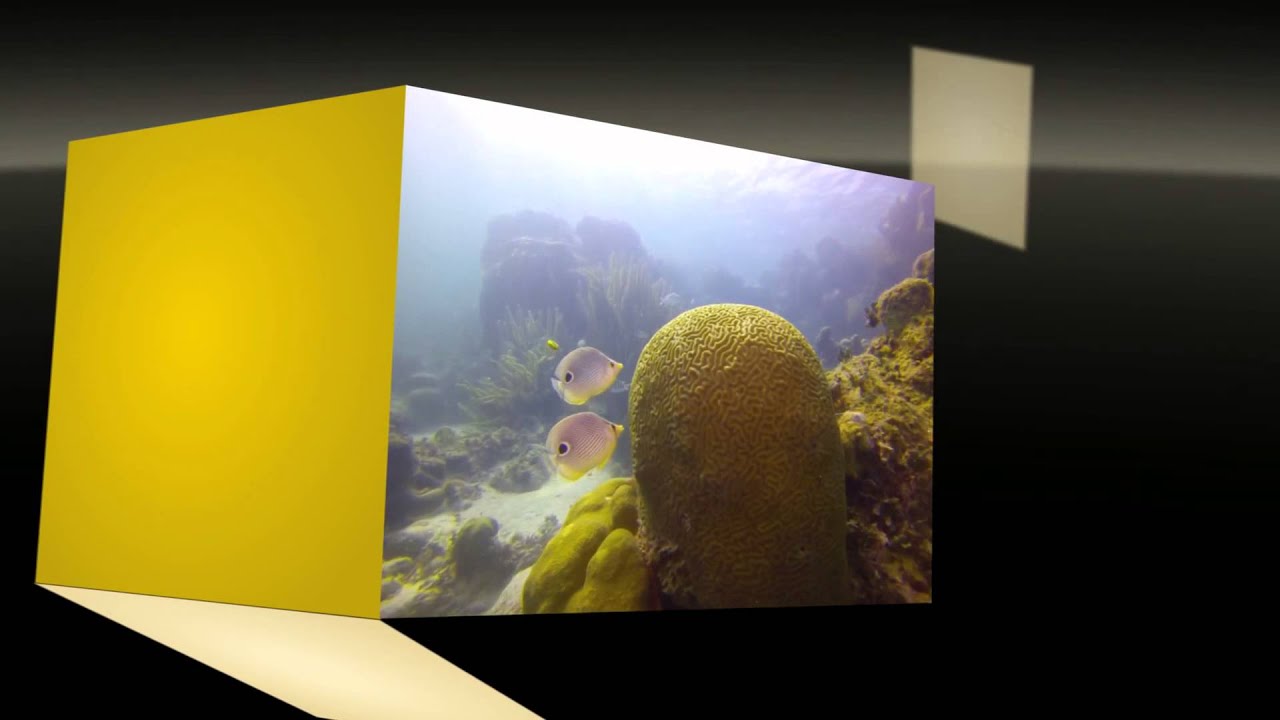 Splash Dive Center Belize Green Team in 30 seconds - YouTube
