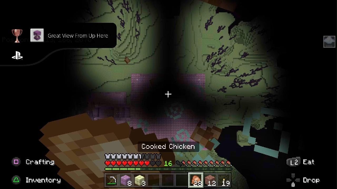 Minecraft "Great View From Up Here" Bronze Trophy - YouTube