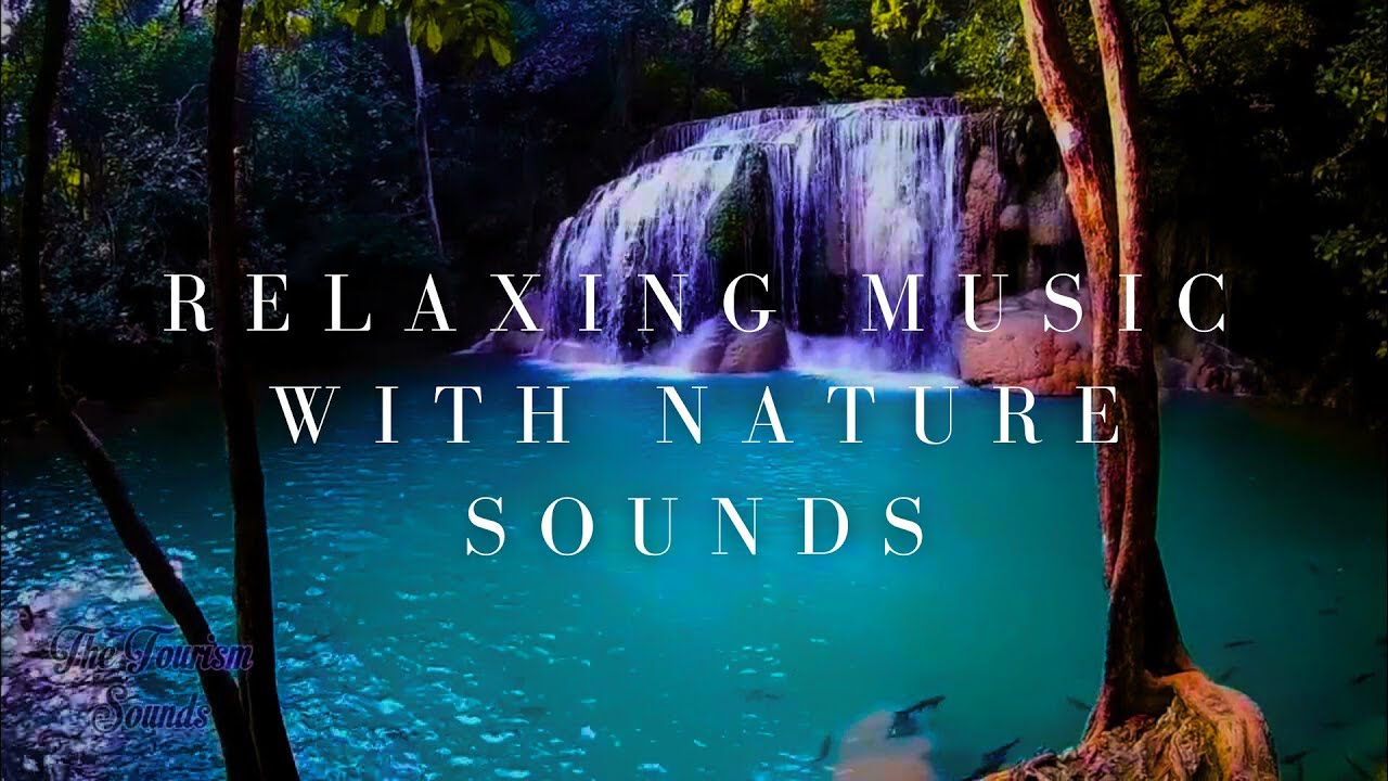 Relaxing Music with Nature Sounds - YouTube