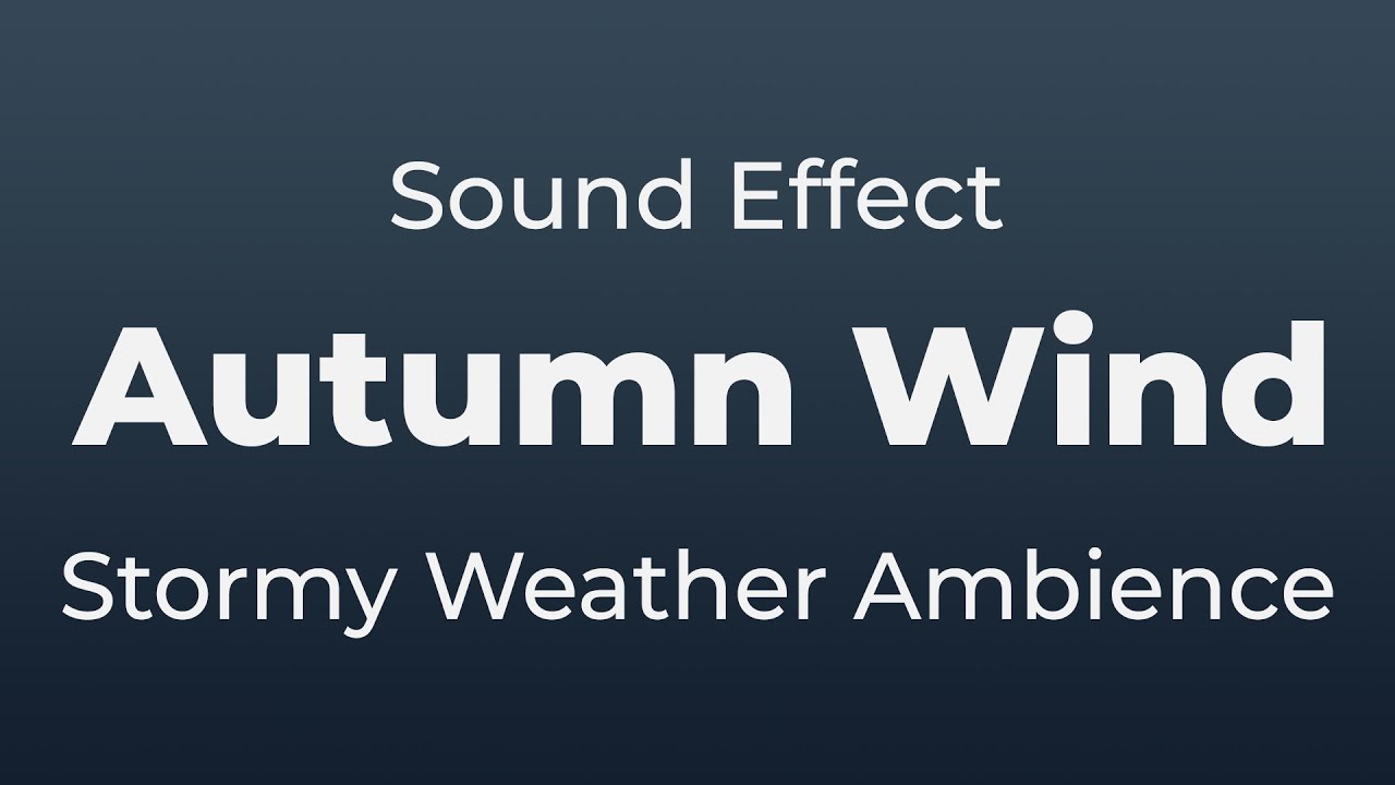 Autumn Wind Storm Weather Ambience Sound Effect | SFX Free for Non ...