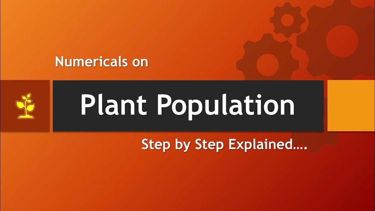 How to calculate Plant Population in Uniform Plant Spacing - YouTube