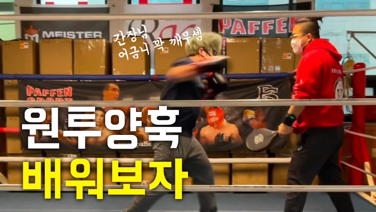 나혼자복싱 원투 양훅 제대로 치는법 권투 배우기 프로 복싱 기술 독학 초보자 리복싱 링사이드 코리아 케나인 글러브 주걱미트