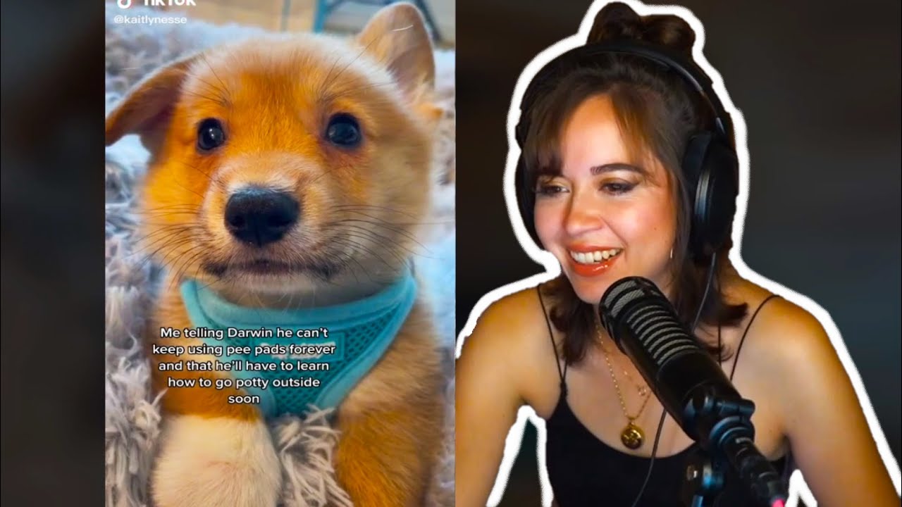 Maya thought this TikTok was SO CUTE! - YouTube