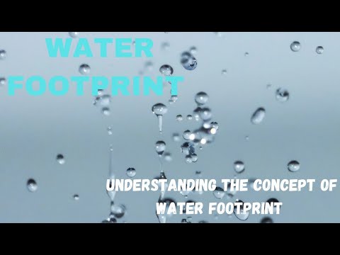 WATER FOOTPRINT/Understanding the concept of water footprint ...