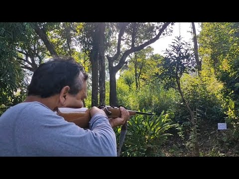 Penetration and damage caused by.22 LR bullets CCI Standard Velocity ...