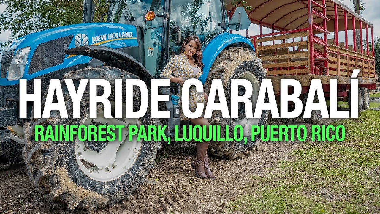 Aventura de Hayride en Carabali Rainforest Park, Luquillo, Puerto Rico ...