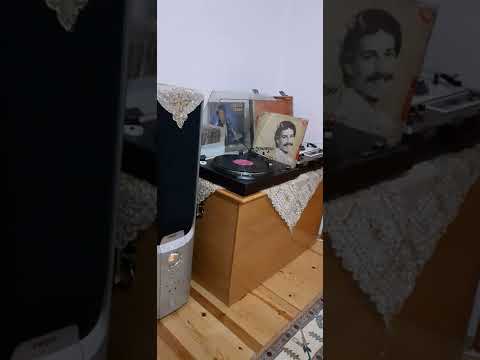 Ercan Turgut / Dönemessinsen.