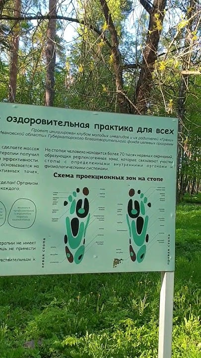 Оздоровительная дорожка для ходьбы босиком в парке Степанова г.Иваново ...