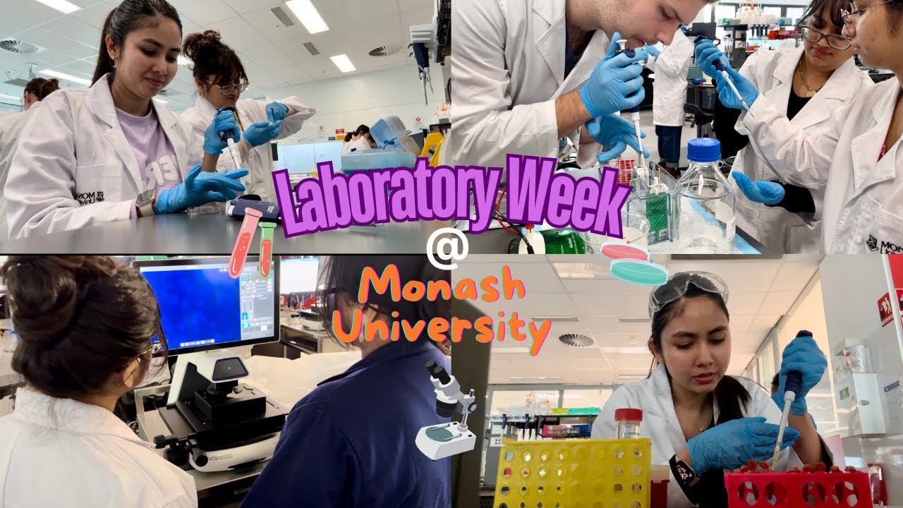 Uni life 🏫: a laboratory week in my life 🔬👨‍🔬📈 | Monash University ...