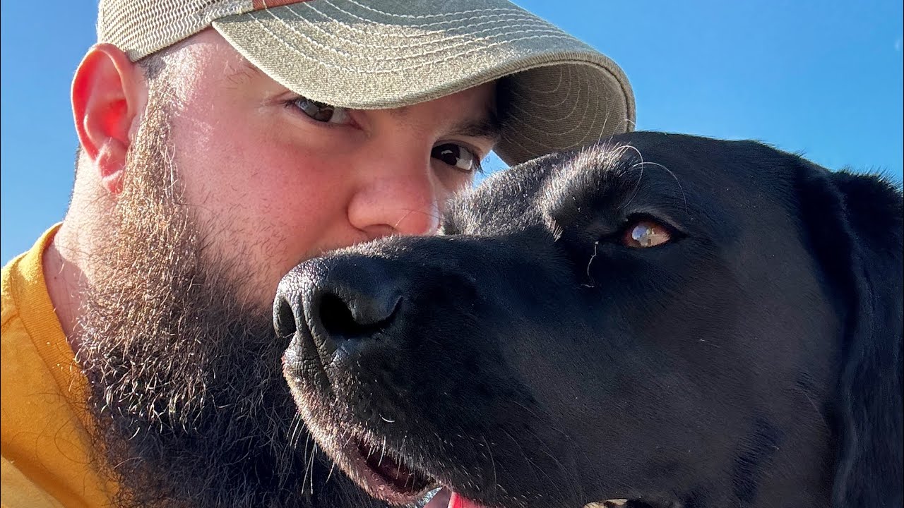 Watch as SERVICE DOG JESS works the ESCALATOR for the FIRST time - YouTube