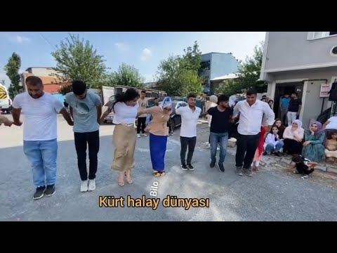şemamê halayı