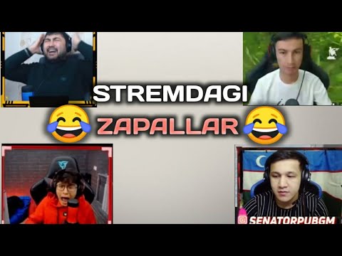 STREMDAGI ENG SARA ZAPALLAR 🤣 SENATOR YAKUDZA FEZOT AZ1KK