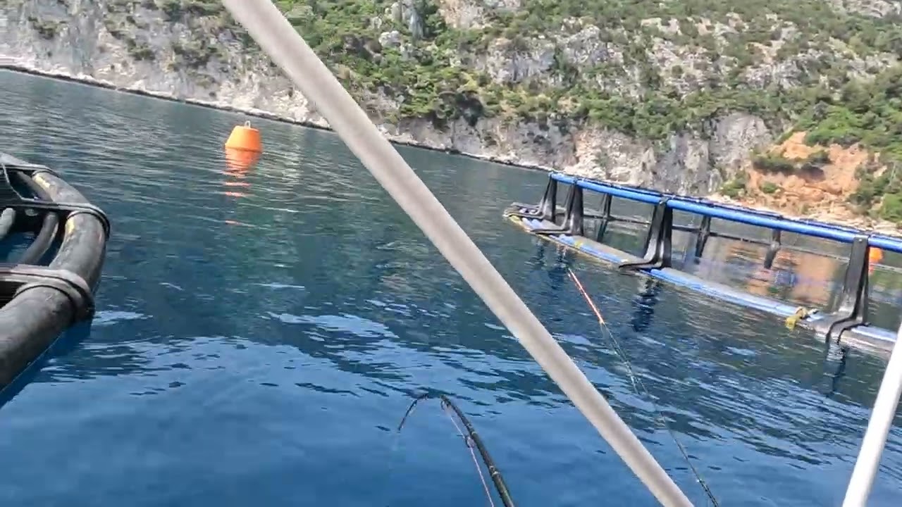 πρωινο ψαρεμα καθετης! - YouTube