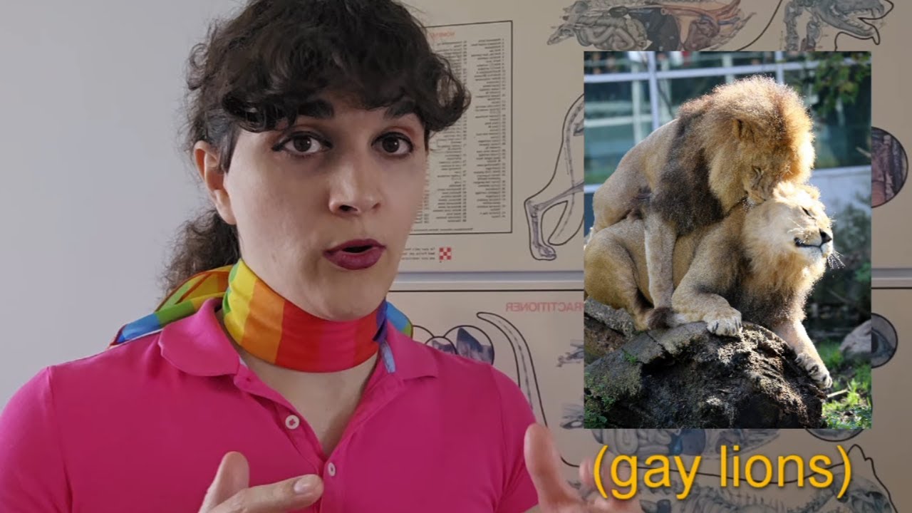 Gay Animals: The Politics of Animal Homosexuality - YouTube
