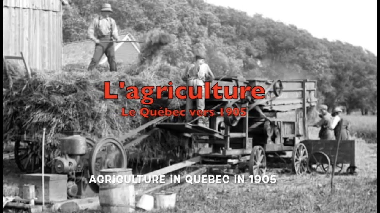 Agriculture in Quebec in 1905 - YouTube