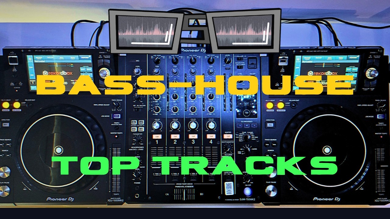 Bass House Mix 2025 | Top Tracks of March | Bass-House Sessions Vol.14 ...