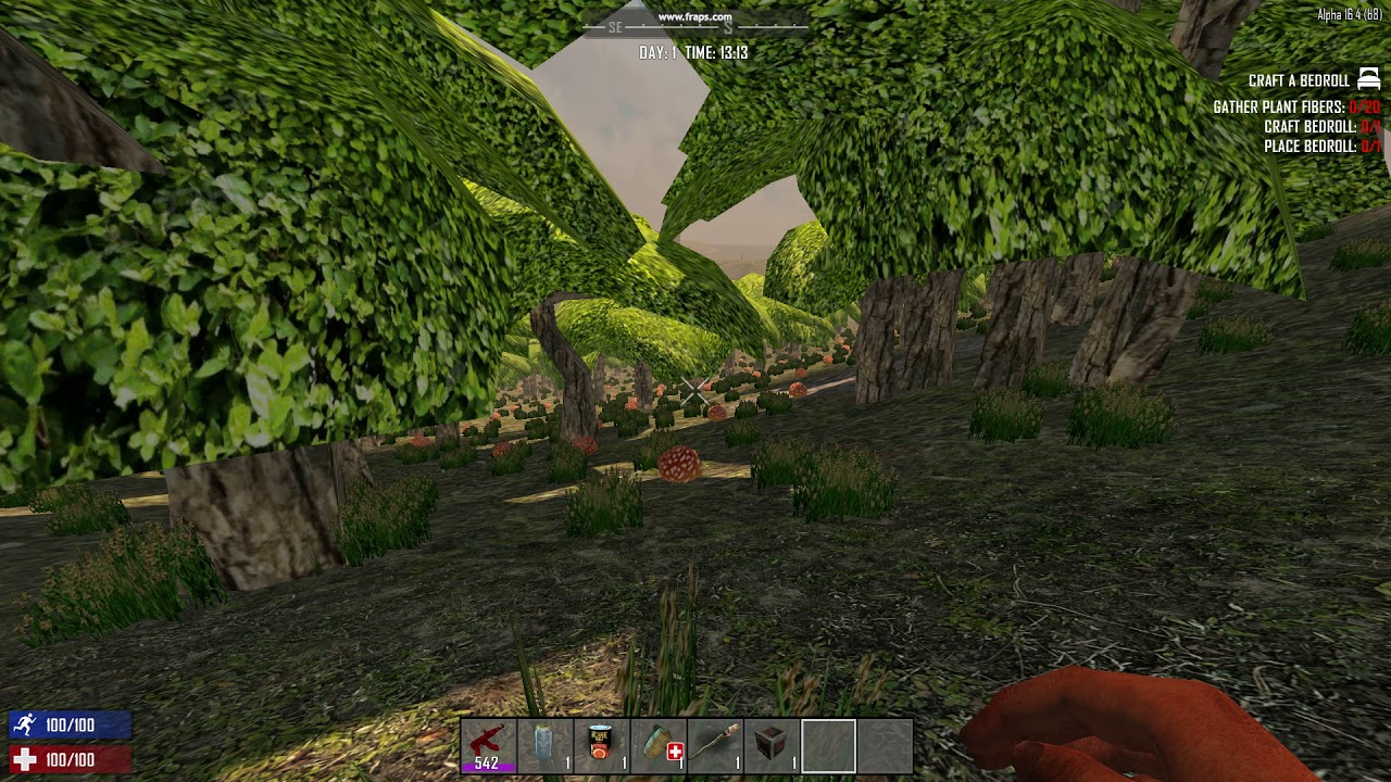 Jungle Day - YouTube