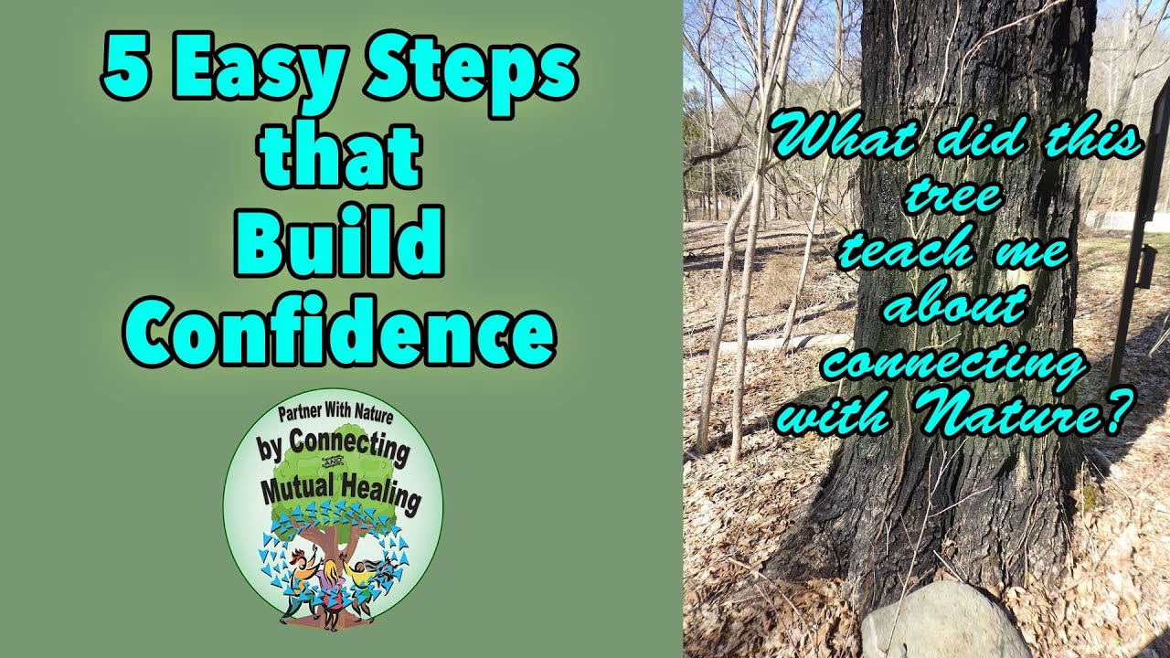Maple tree teaches intuitive connecting with Nature. Learn 5 easy steps ...