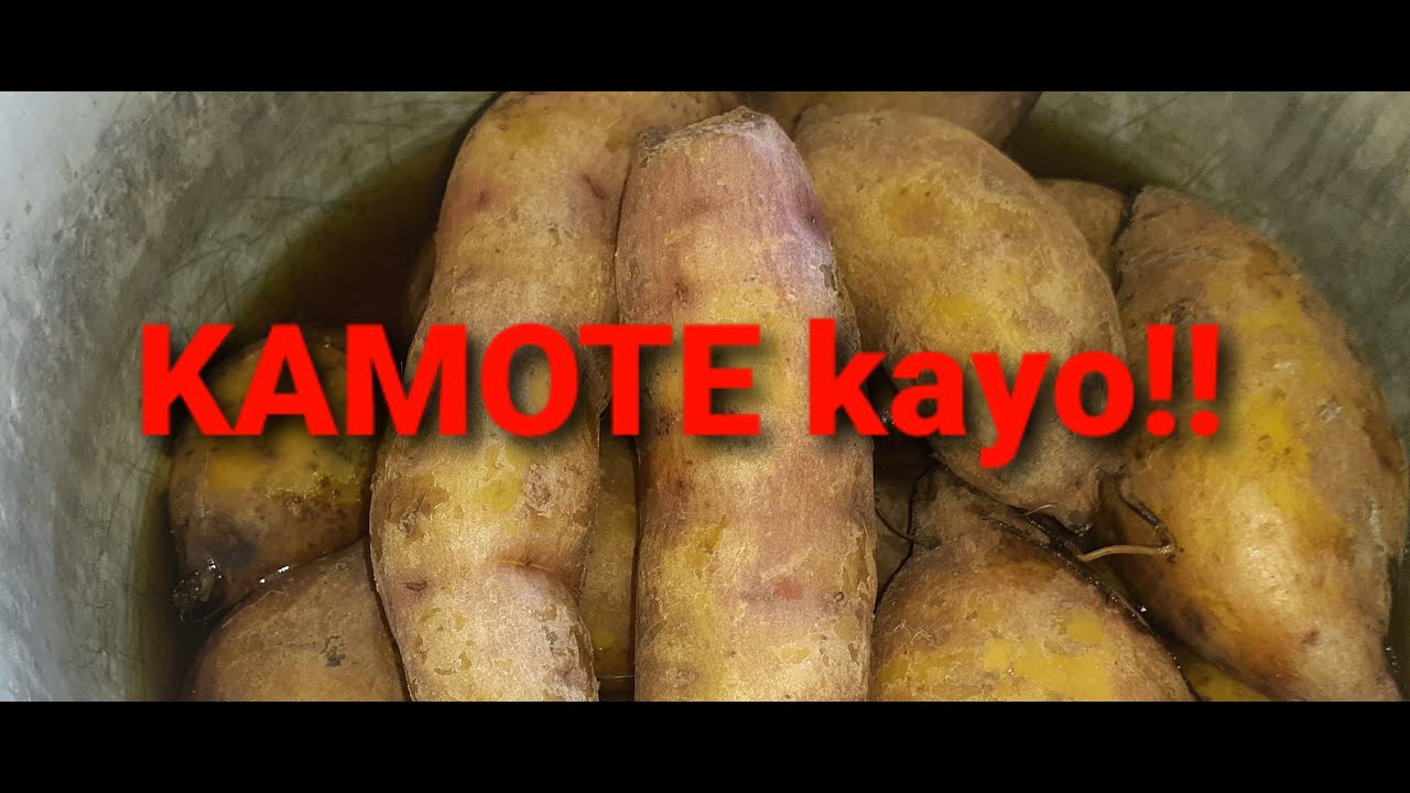 Nilagang Kamote sa Rice Cooker | kuyamalvin #cooking #kamote - YouTube
