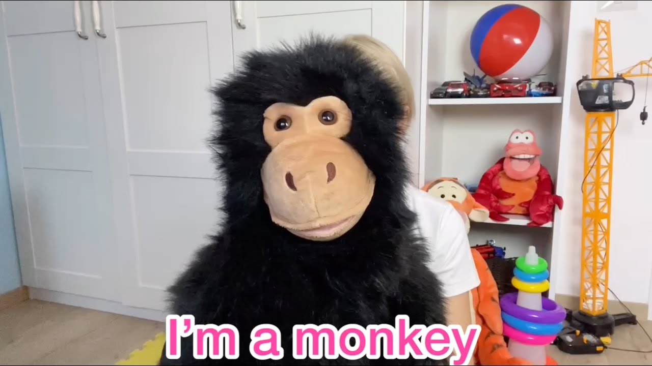 I'M A MONKEY - YouTube