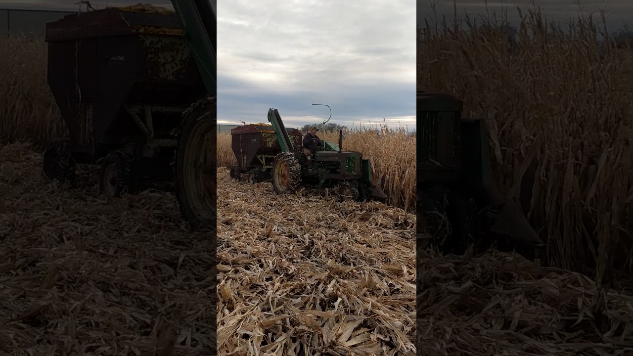 Picking ear corn with 127 - YouTube