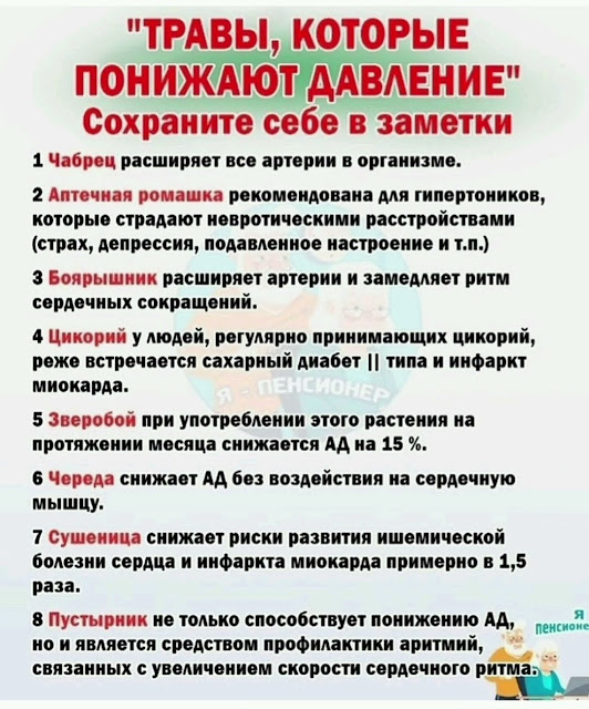 ПРО ТРАВЫ СНИЖАЮЩИЕ ДАВЛЕНИЕ #польза #зож #здоровье #давлениевысокое # ...