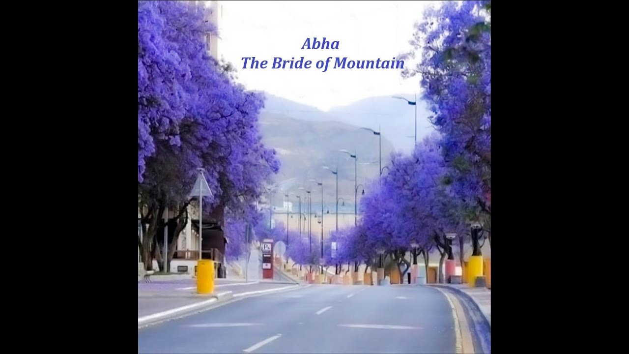 A One-day Dairy Abha the bride of mountain in Saudi Arabia & Al Sooda ...