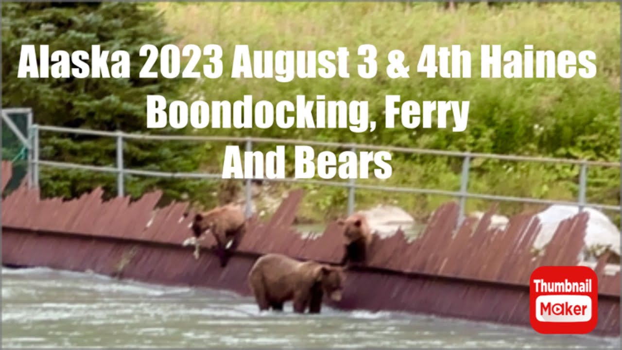 Alaska 2023 August 3 & 4th Haines Boondocking, The Ferry, and Bears ...