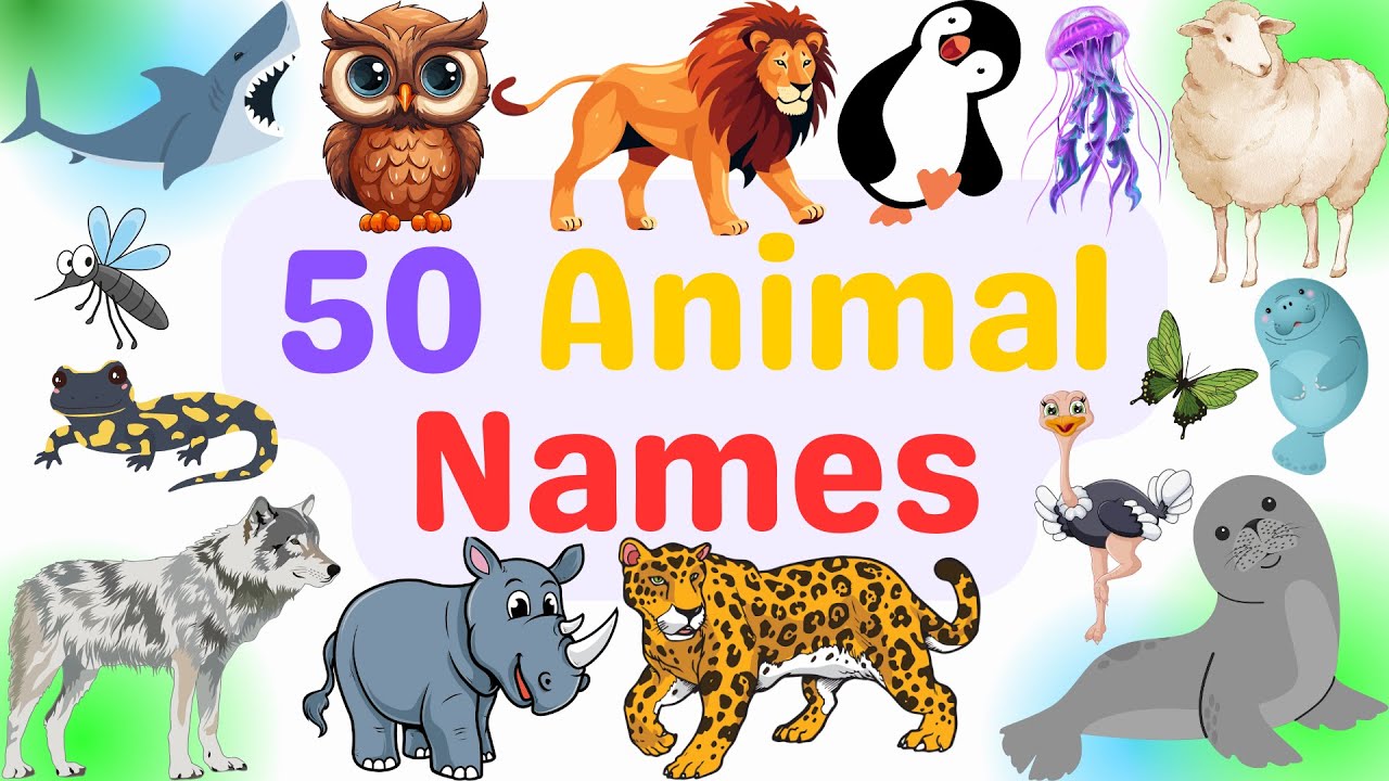 Learn Animal Names - English Vocabulary for Kids - YouTube
