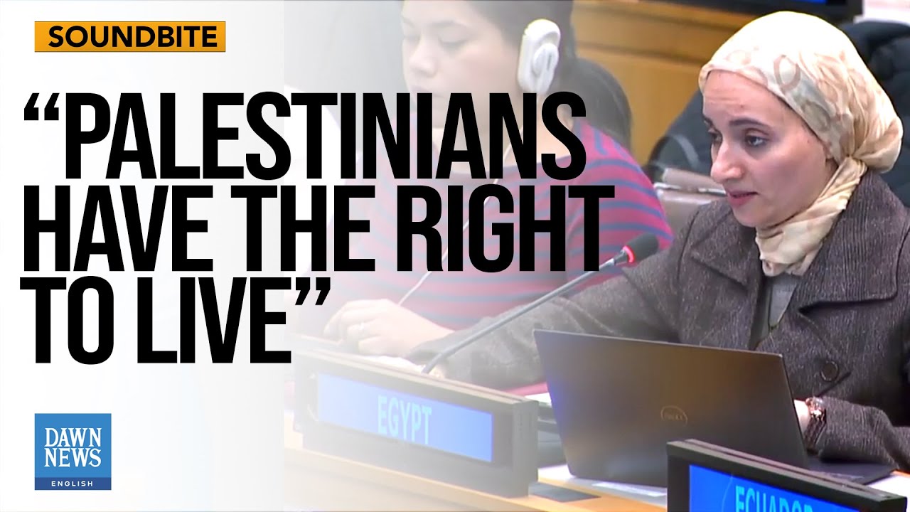 OIC Demands Israel End Occupation, Highlights ICJ Verdict at UN | Egypt ...