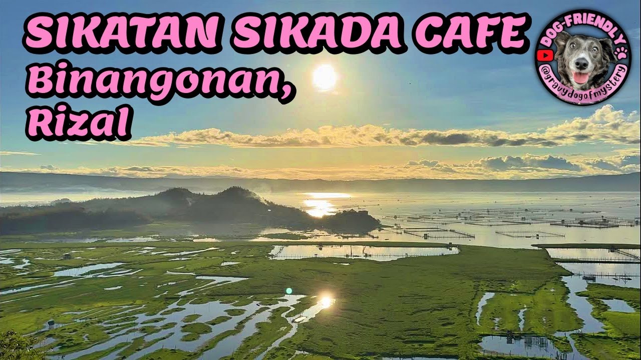 Gravy The Traveling Dog Goes To ☀️ Sikatan Sikada Cafe in Binangonan ...