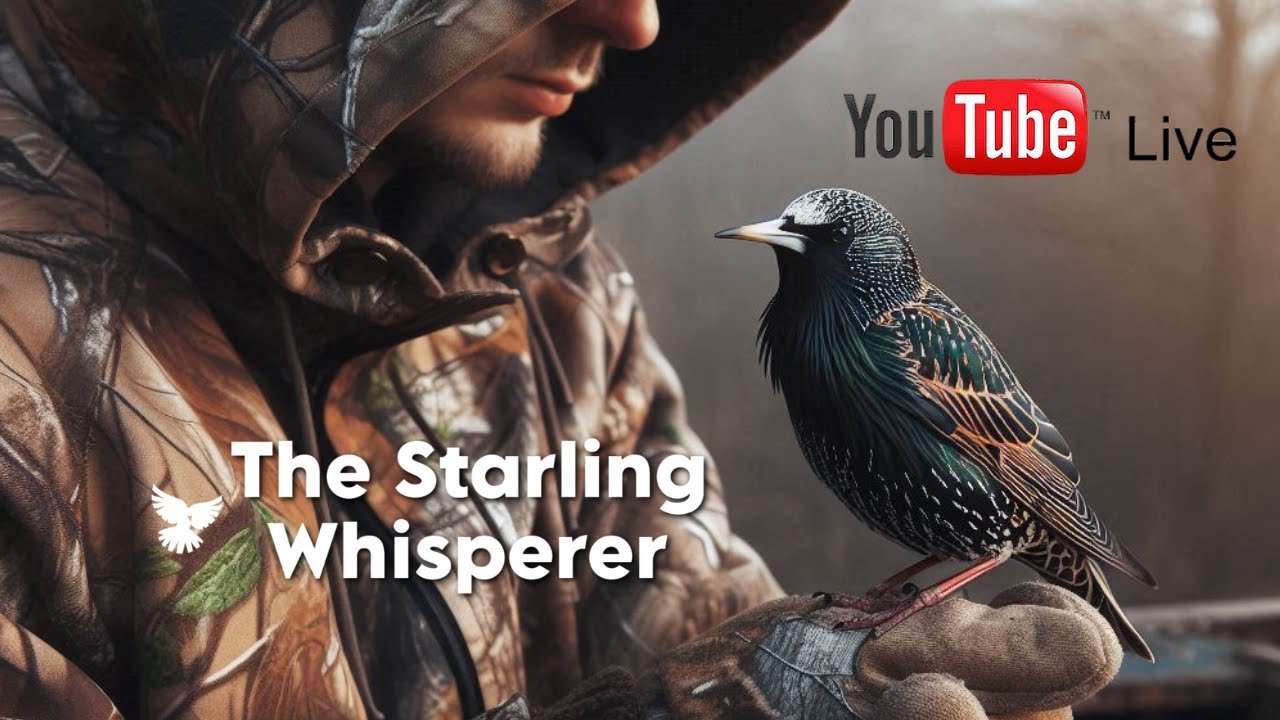 Natural Daylight Test Nest Box 1 Stream- Nothing to see here.. - YouTube