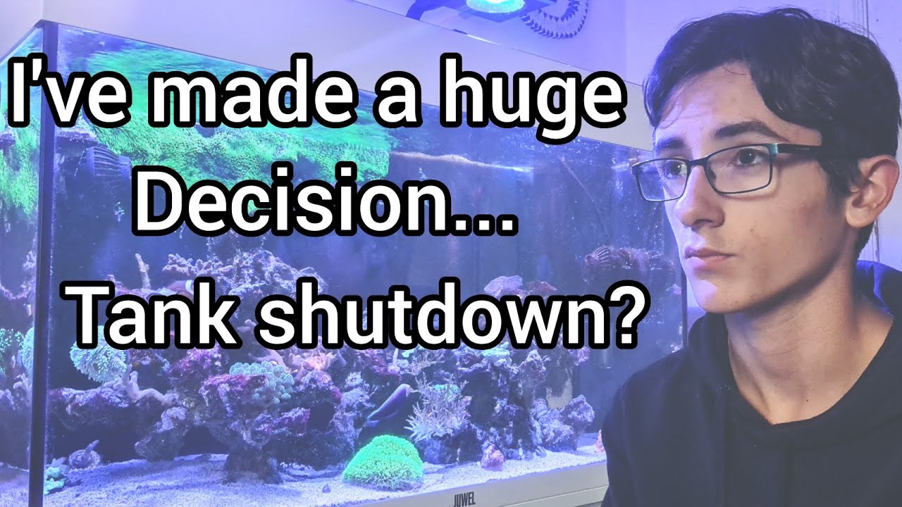 Reef tank Failure? Tank Crashing? - YouTube