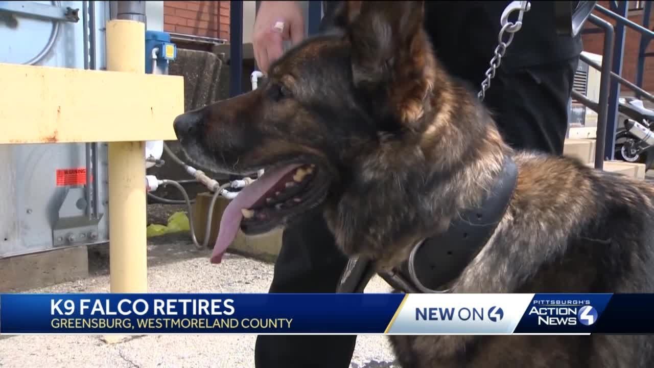 K9 Falco retires after serving Greensburg, Jeannette - YouTube