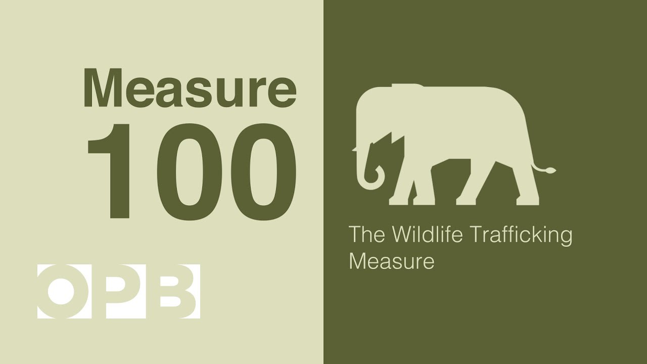 Oregon Measure 100 Explained - YouTube