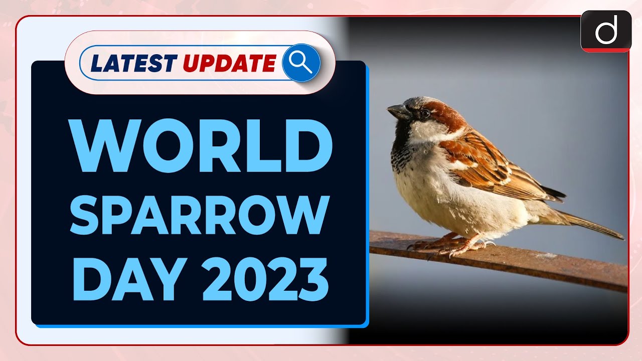 World Sparrow Day 2023: Latest update | Drishti IAS English - YouTube