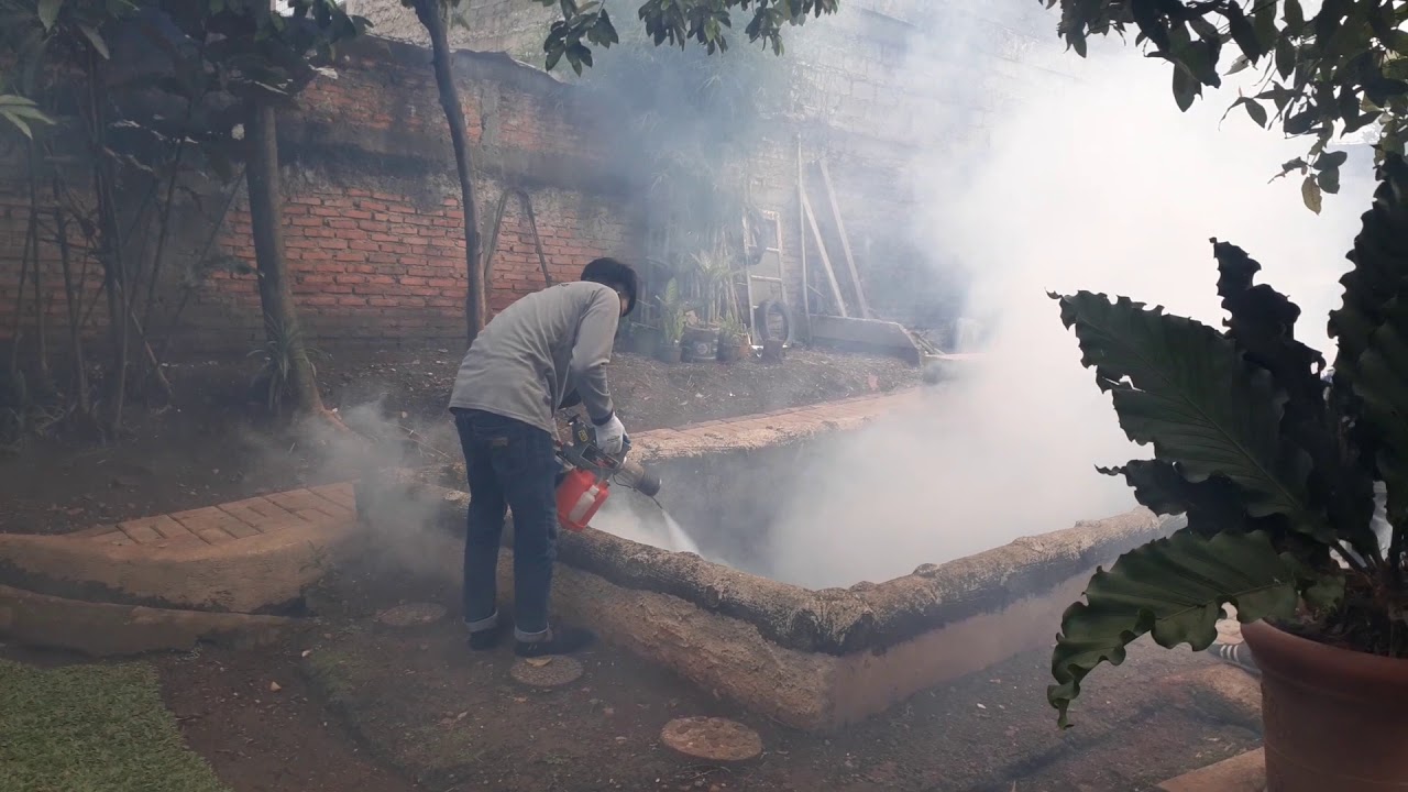 Fogging Asab DBD - YouTube