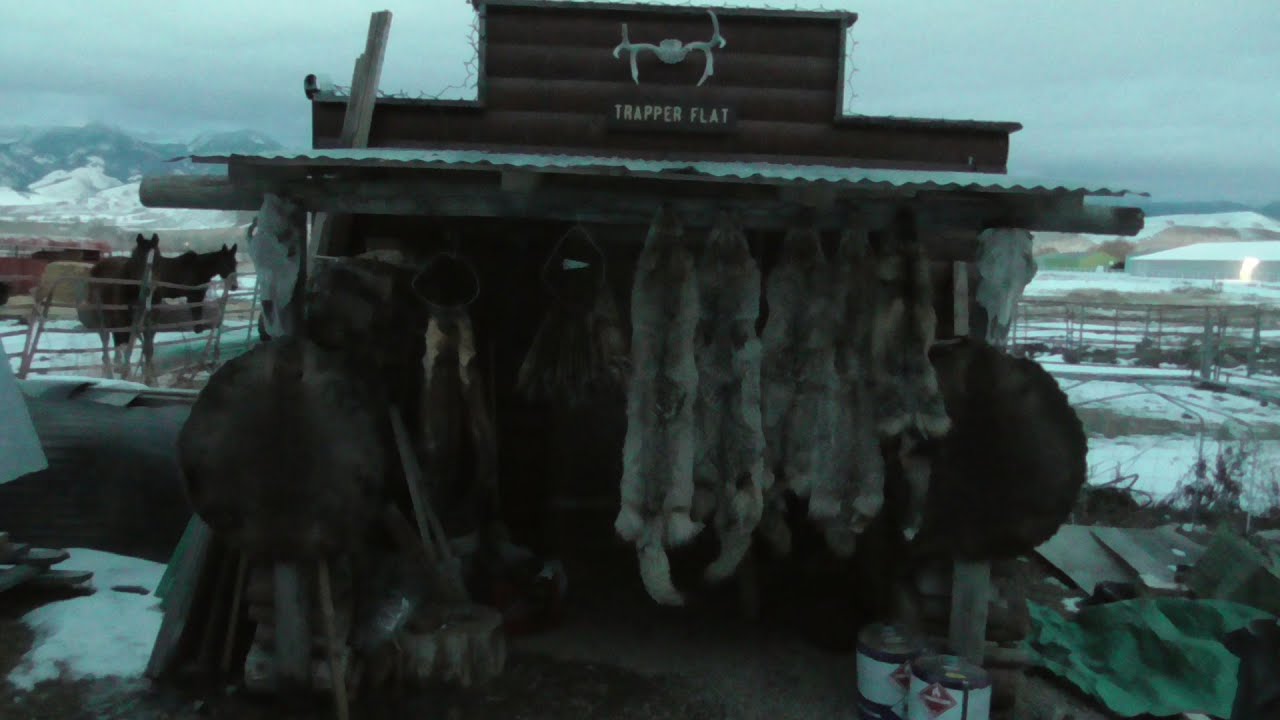 A Quick Peek at the Fur Shed - YouTube