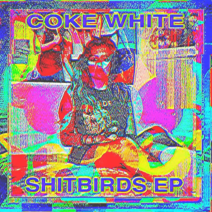 SHITBIRDS IN LOVE clip from the shitbird tapes - YouTube