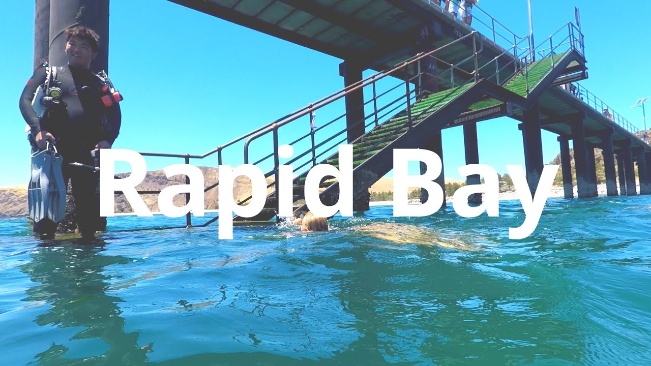 Scuba Diving in Rapid Bay Jetty - YouTube