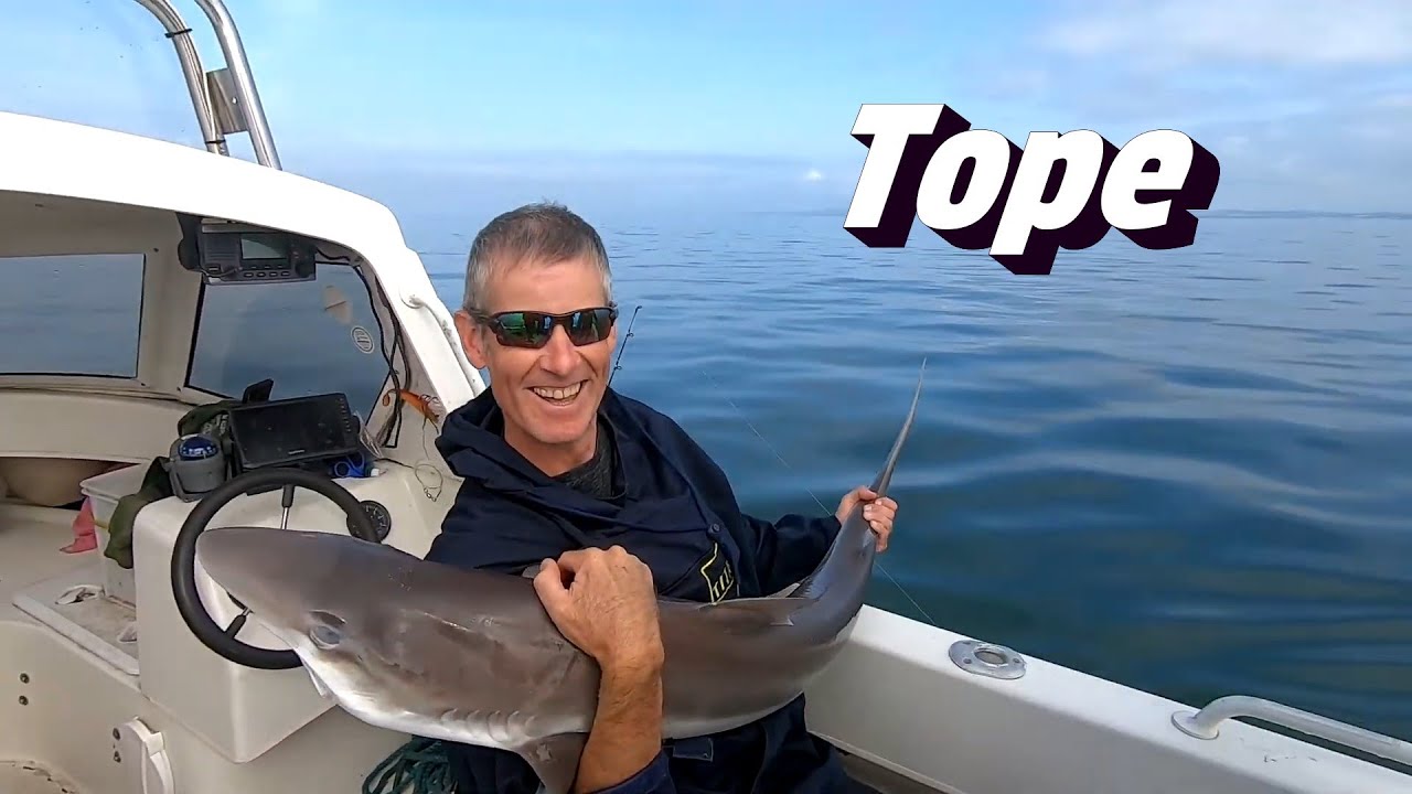 Tope Fishing with Spike on Go West, Drummore, July 2021 - YouTube