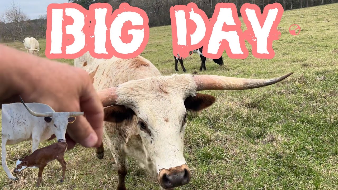 Biggest Day Ever at J&L Ranch! - YouTube