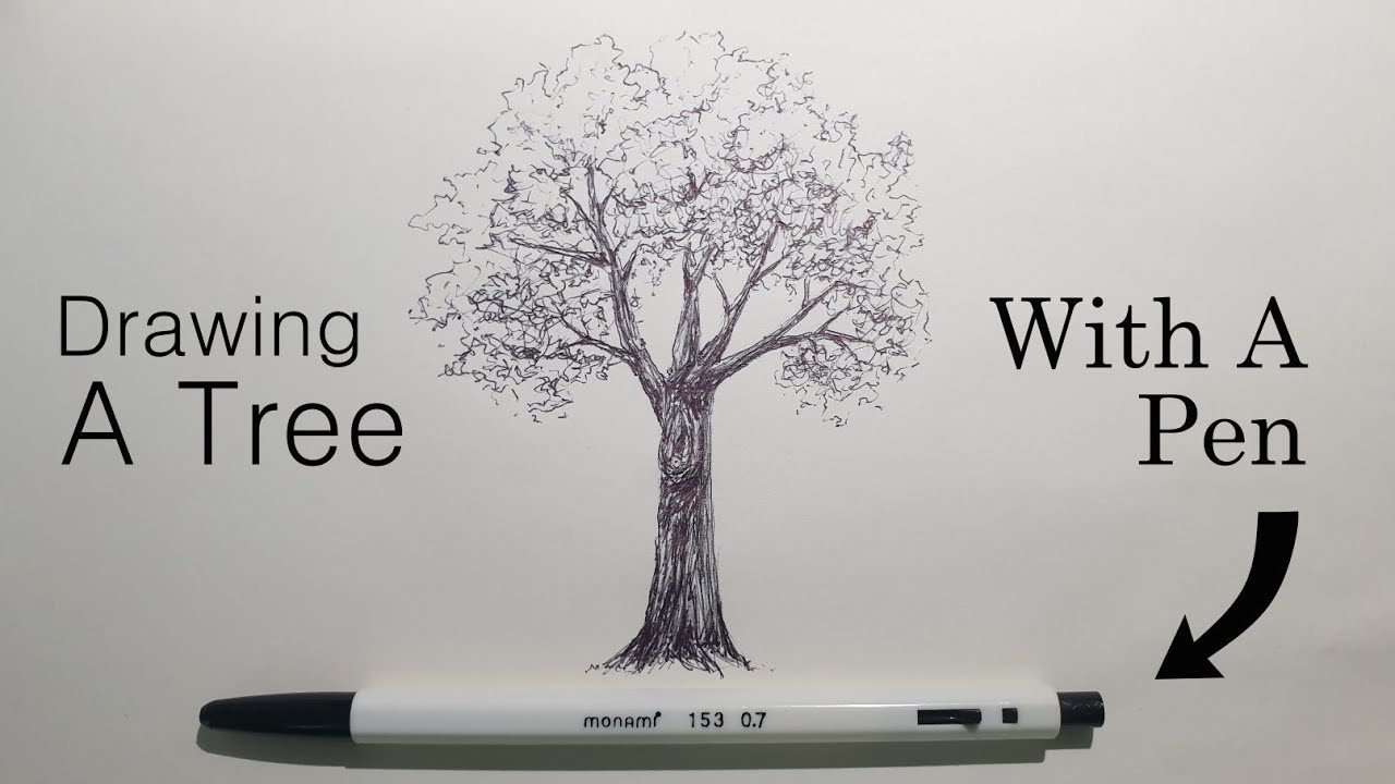 How To Draw A Tree - YouTube