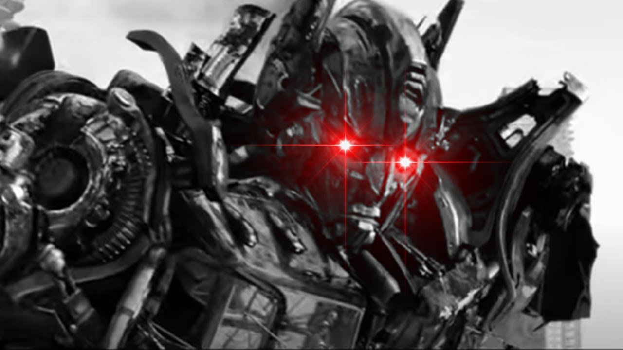 Freedom is the right to all sentient beings - YouTube