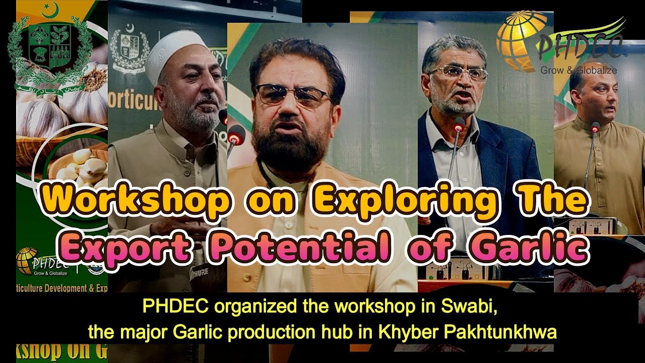 PHDEC – Ministry Of Commerce