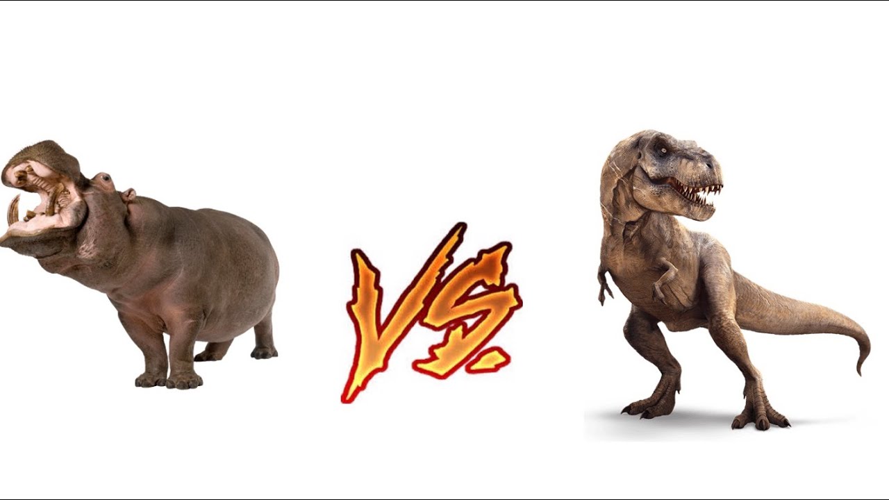 Animal face off- t-rex vs hippo - YouTube